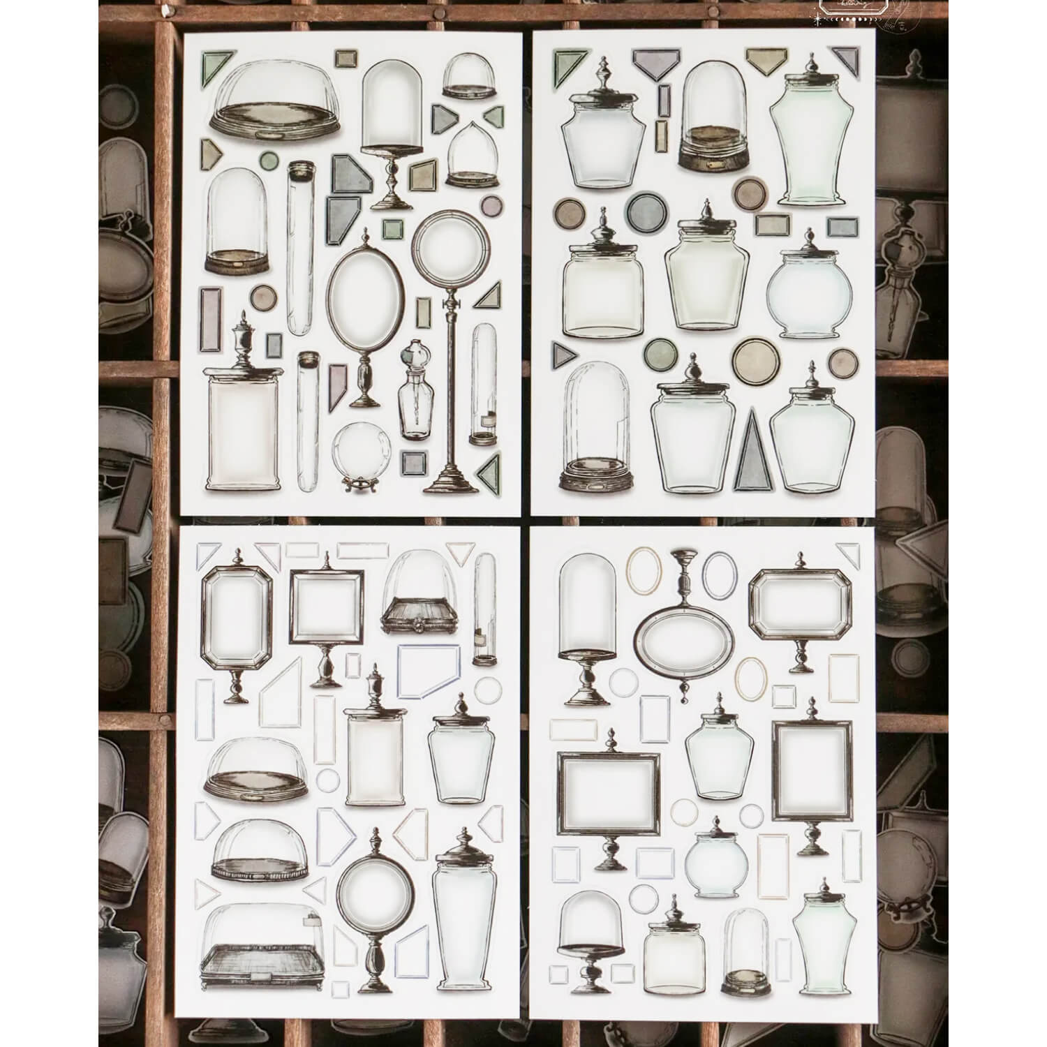 LCN Specimen Display Sticker Set | All Stationery | Nagi Lifestyle